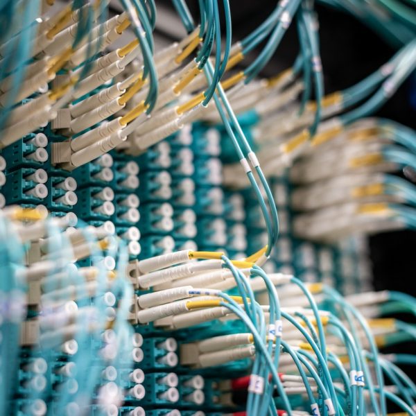 How Much Fibre does your Business Need?| Business Fibre | ECN